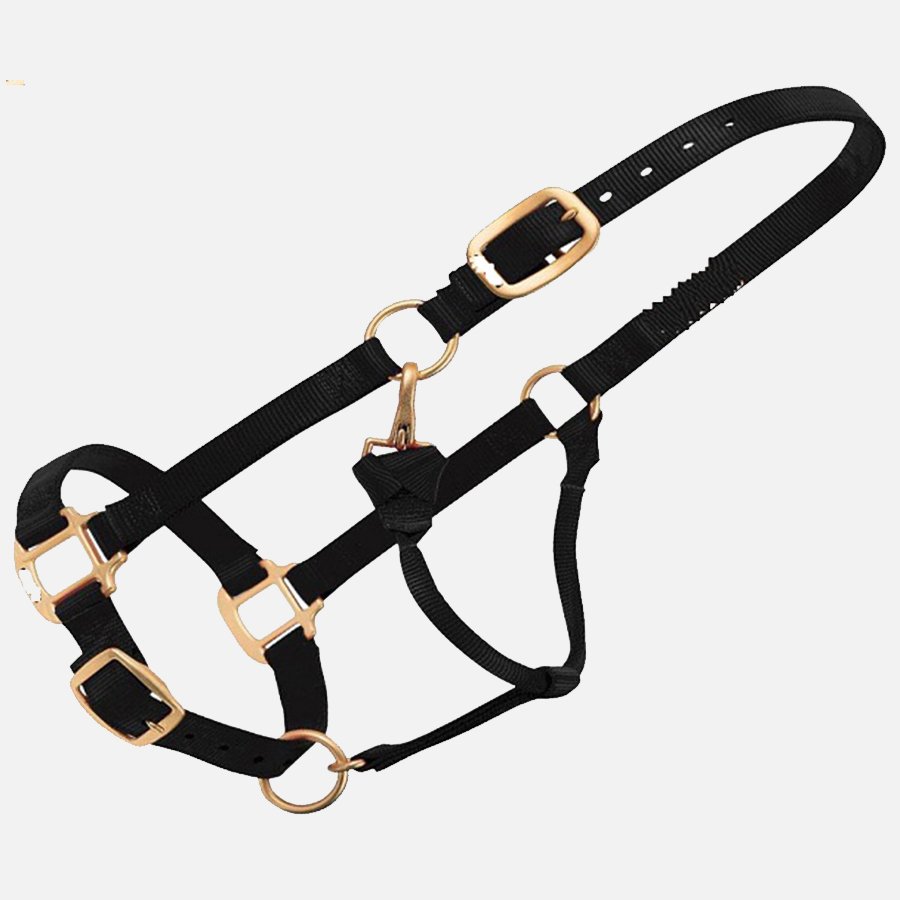 Equine Horse Adjustable Nylon Halter